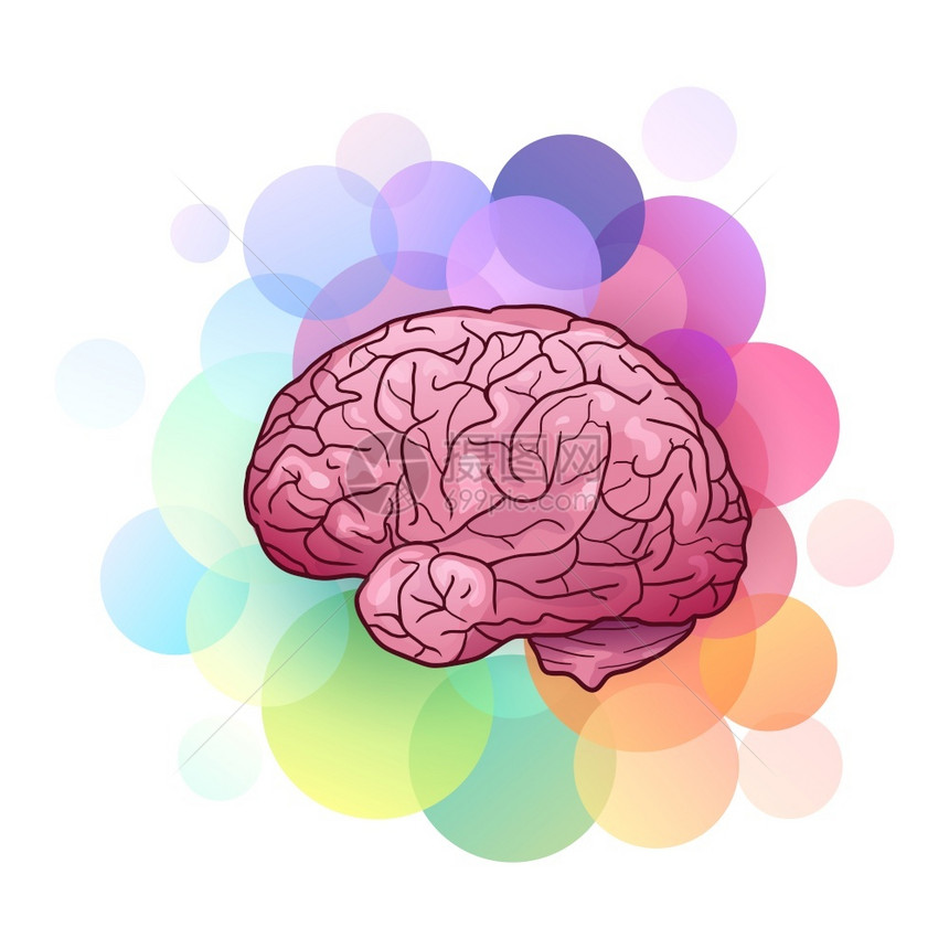 人类大脑的卡通插图 插画图片下载 正版图片303702452 摄图网
